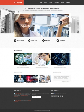 Free Website Templates | WordPress Themes, PSD Files - ThemeLand